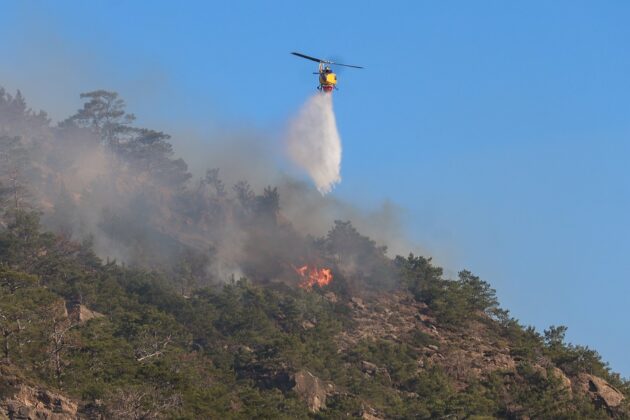 Πυροσβεστική: 42 αγροτοδασικές πυρκαγιές το τελευταίο 24ωρο - The President